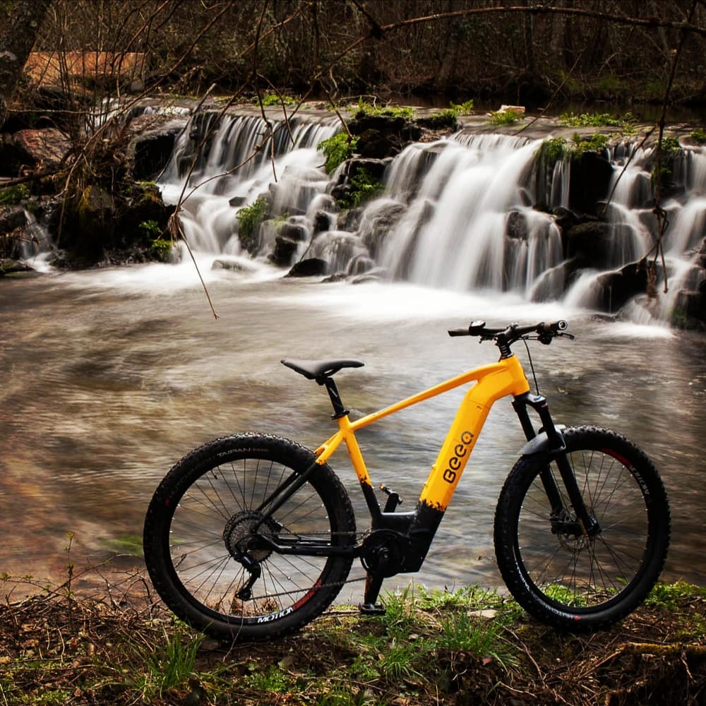 Home · Beeq bicycles